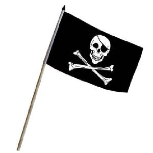 Steag Mic Pirati